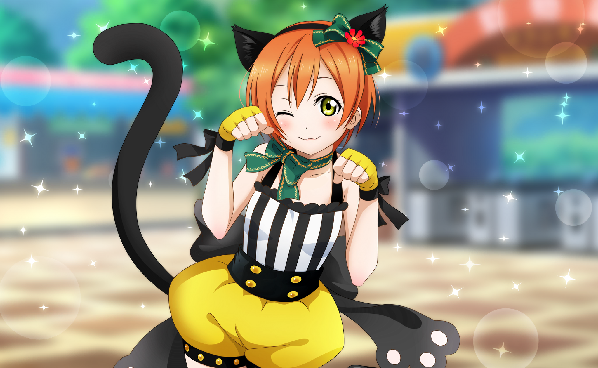 SR Rin Hoshizora Cool 「Fickle Kitten」 | Cards list | SIF2 MIRACLE LIVE ...